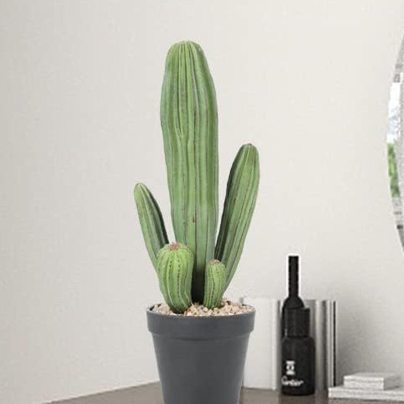Latitude Run® Artificial Cactus Fake Cacti 16" Potted Cactus Plants for Home Decoration | Wayfair